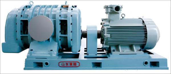 Quality Heavy Duty Cast Iron Electric Vacuum Roots Type Pump For Roots Fans for sale