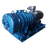 China Cutting Edge Engineering Roots Vacuum Pump Single stage For Improving Efficiency for sale