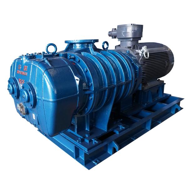 Quality Cutting Edge Engineering Roots Vacuum Pump Single stage For Improving Efficiency for sale