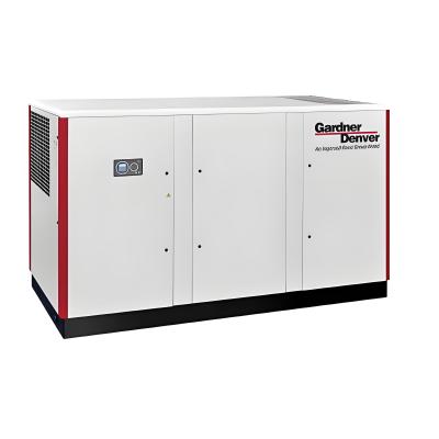 Chine Compresseur d'air à deux étages à micro-huile de haute performance adapté aux charges de travail lourdes et aux applications exigeantes à vendre