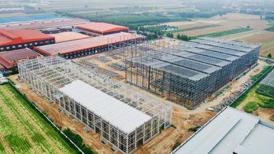China Easy Assemble Steel Structure Workshop GB Standard Steel Shed Workshop for sale