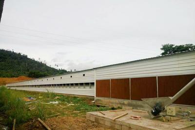 Cina Q235B Struttura in acciaio Casella di pollame Cornice in acciaio verniciata Cucina di pollo in vendita