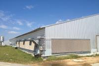 China Custom Steel Frame Poultry House Q235/Q355B H-Section Structure with 50-100mm Insulation and Custom Dimensions for sale