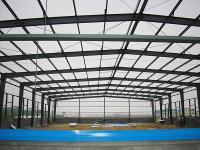 China Prefabricated Steel Structure Factory Building with Q355/Q235 Steel, 5T-30T Crane Options for Industrial Applications for sale