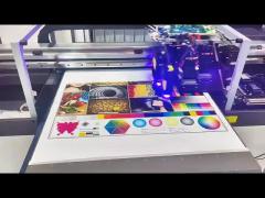 720x2400dpi CMYK Brother Print Head inkjet Digital UV Printer Desktop OEM