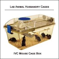 Quality Laboratory IVC Animal Cages Rat Breeding Multi Layer Stackable Mouse Cage Box for sale
