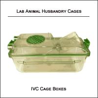 Quality Laboratory Mouse Breeding Cages IVC Sterility Pollution Prevention for sale