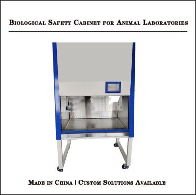 China Lab Equipment Biological Safety Cabinet Class 100 With Front Window Operating Port for sale