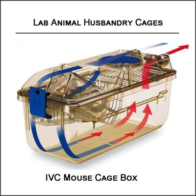 China Mouse Guinea Pig IVC Animal Cages Stackable Lab Rat Breeding Cages With Rest Area for sale