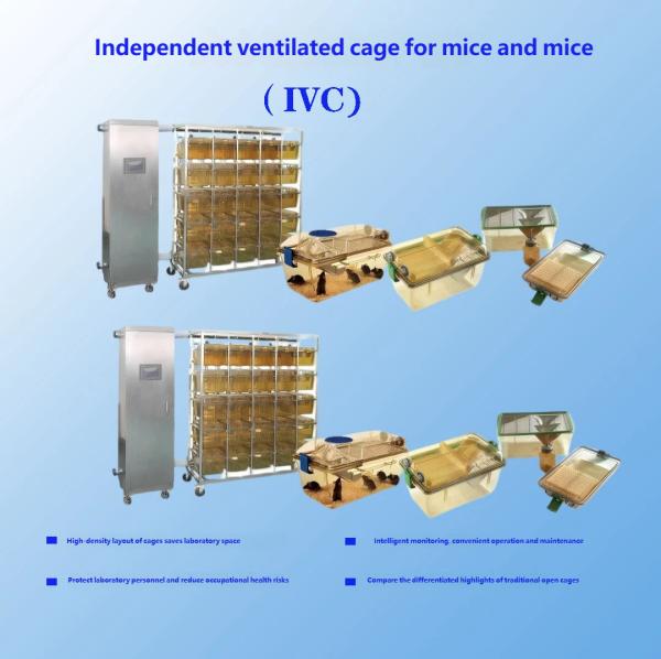 Quality Fully Automatic IVC Independent Ventilated Cage System Biosecurity Rodent Housing Equipment Anti-cross Contamination Lab Animal Cages for sale