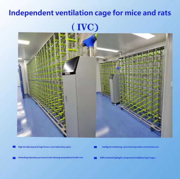 Quality Double-sided IVC Individually Ventilated Cage System High Density Mouse Breeding Rack Complete IVC System with Central Ventilation Controller for sale