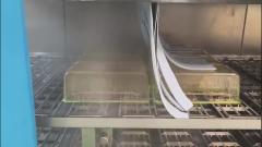 Tunnel cage washer