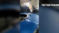 Assembly line packaging conveyor belt