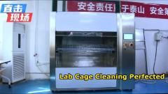 Cage washing machine for animal laboratory, washing of IVC cage boxes for mice and rats