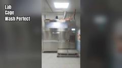 Cabinet-type cage washing machine
