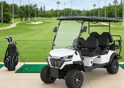 China Spacious 6 Seats Off Road Golf Carts with Disc brake 4 Forward-facing seats and 2 Backward-facing Seats Standard-equipped Reverse Camera for sale