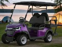 China EcoGlide Pro Elegant 4 Seats Golf Cart with Stylish Exterior Design for sale