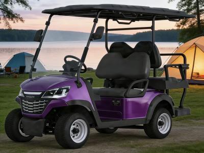 China EcoGlide Pro Elegant 4 Seats Golf Cart with Stylish Exterior Design for sale