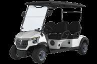 China Shock-absorbing D304 Golf Car with High-Strength Composite Materials and Trailing-Arm Independent Rear Suspension for sale