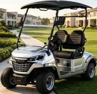 China Streamlined Electric Utility Cart 2 Seats Cargo Bed MacPherson Front Suspension Solid Rear Axle Rust Proof Chassis for sale