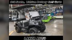 Chinese Factory actual running golf cart