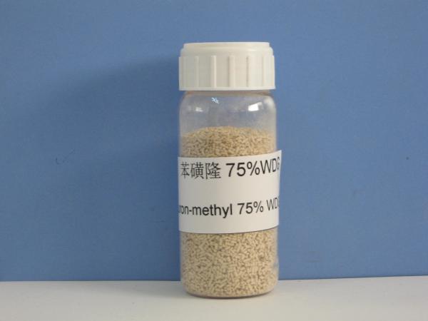 Quality Nicosulfuron 75%WDG ,Maize annual and perennial grasses killer，Gray-white ball/column granule for sale