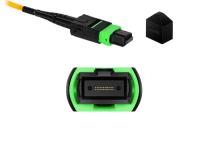 China 24 Cores Single Mode Fiber Patch Cord 55dB Return Loss Customized Length for sale