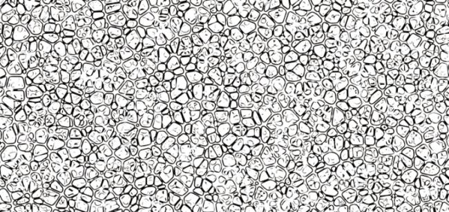 Opening Agent Polyurethane Foaming Additive For Soft Foam