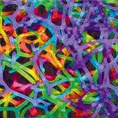 Cina 610 Oli di silicone Poliuretano Additivo per la produzione di schiuma per la produzione di spugne di schiuma di flatulenza a rimbalzo lento in vendita