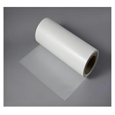 China Moisture Proof Multi Functional Compatibility 18MICRON Thickness Scratch Resistant Film for Premium Packaging for sale