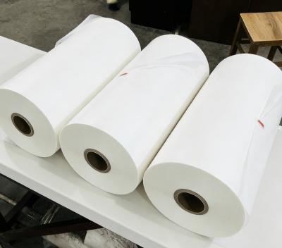 China Food Grade Waterproof Biodegradable Laminating Film Roll for Professional Packaging for sale