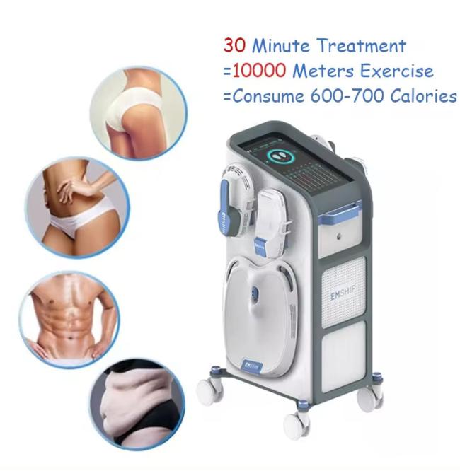 4 Handles Electromagnetic Stimulato Muscle Fat Burning Body Shaping Machine