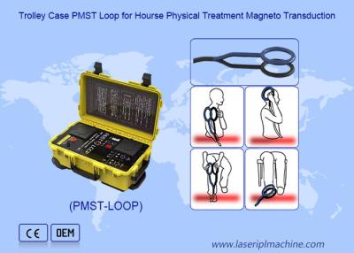 China Physio Magneto Therapy Magnetic Field Therapy With 4500 HZ Oscillation for sale