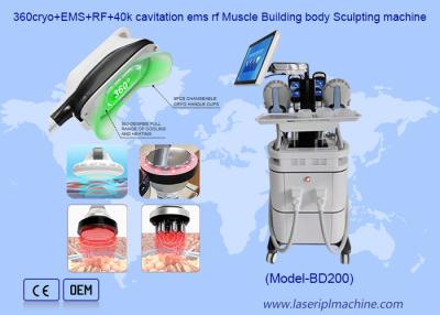 China 2 In 1 Cellulite Removal EMS Muscle Building Cryotherapy Body Slimming Machine for sale