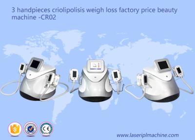 China 3 Handpieces Cryolipolysis Slimming Machine Weight Loss Beauty Equipment CR02 for sale