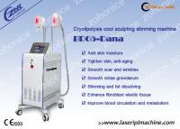 China 2 Changeable Handle Cryolipolysis Slimming Machine With Antifreezing Membrance for sale
