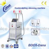 China 2 Changeable Handle Cryolipolysis Slimming Machine With Antifreezing Membrance for sale