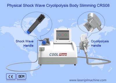 Cina Corpo di cavitazione di Cryolipolysis dell'onda di urto di 2 maniglie che dimagrisce macchina in vendita