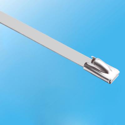China Heavy Duty Stainless Steel Cable Tie Wraps , 304 Stainless Steel Cable Ties for sale