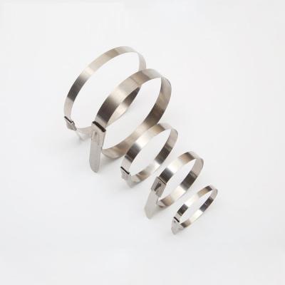 China Silver Color Self Locking Stainless Steel Cable Ties High Tensile Strength Non Flammability for sale