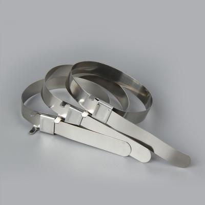 China Heavy Duty Security Self Locking Stainless Steel Cable Ties PVC Covered for sale