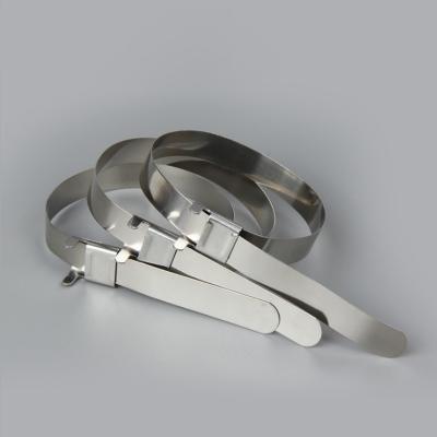 China Custom Ball Lock Stainless Steel Tie Wraps , Metal Cable Ties For Constructions for sale