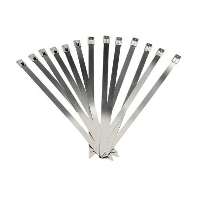 China Custom Stainless Steel Cable Zip Ties , High Temperature ss Cable Ties for sale