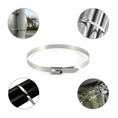 China Fast Delivery Metal Stainless Steel Cable Ties for Heavy Duty 4.6mmx300mm automatic cable tie adjustable cable ties for sale