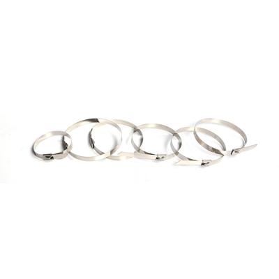 China High Tensile Strength Stainless Steel Cable Zip Ties Corrosion Resistant for sale