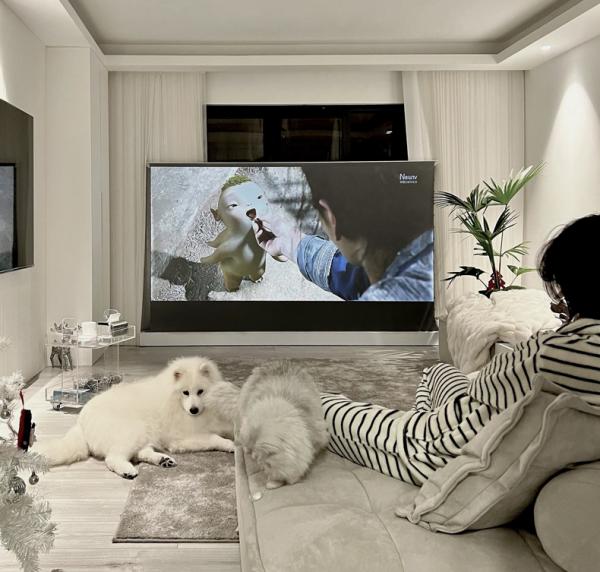 Quality Motorized Floor Rising Screen 90 inch projection screen compatible with ultra for sale