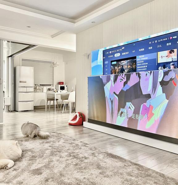 Quality Floor Rising Screen electric projection screen with quiet motor operation and for sale