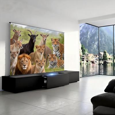 China Motorized 100-150 Inch Laser TV Cabinet for Home Smart Theater Easy Assembly for sale