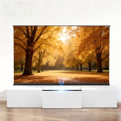 China Sleek Motorized Laser TV Cabinet Designed for Modern UST Projector Setups for sale