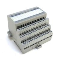 China 1794‑0832 - Digital‑Signal‑Sampling/Field‑Bus‑Data‑Transfer - Plastic Flex I/O Isolated Digital Input Module for sale